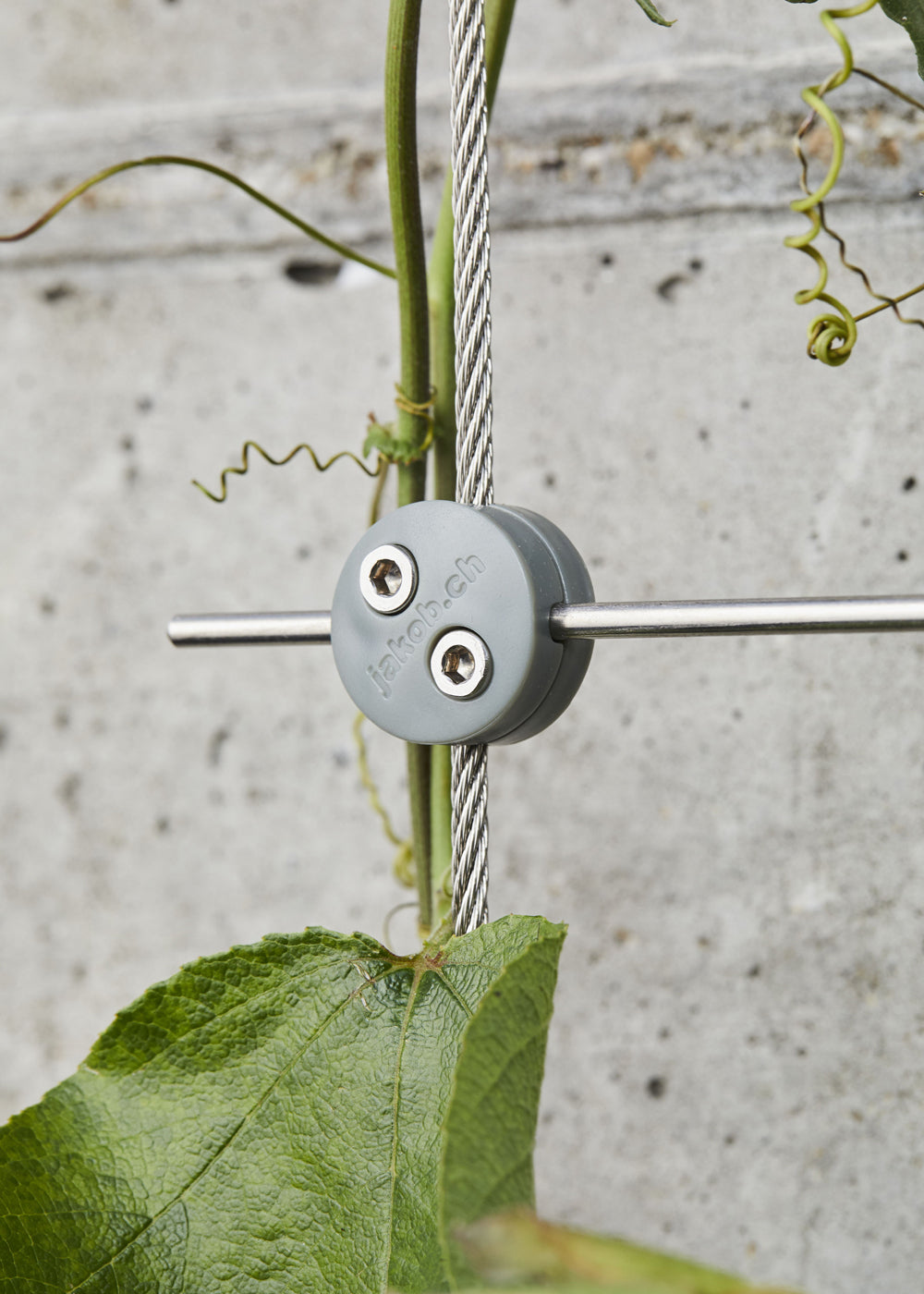 JaKob GreenKits Trellis - The stainless steel plant support for a ...