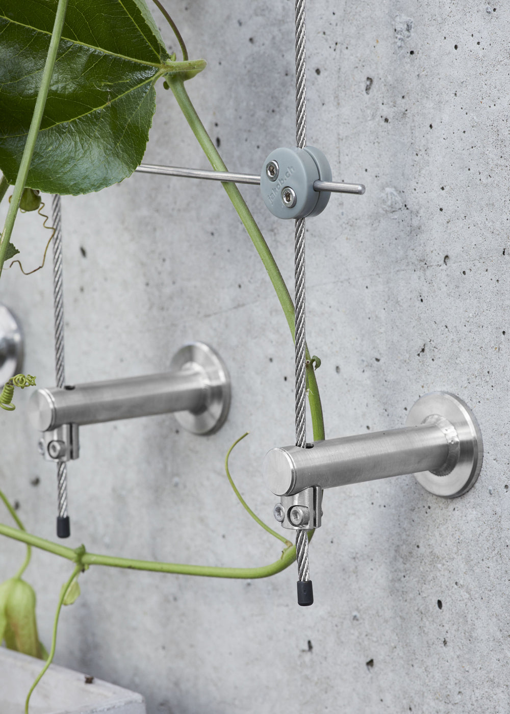 JaKob GreenKits Trellis - The stainless steel plant support for a ...