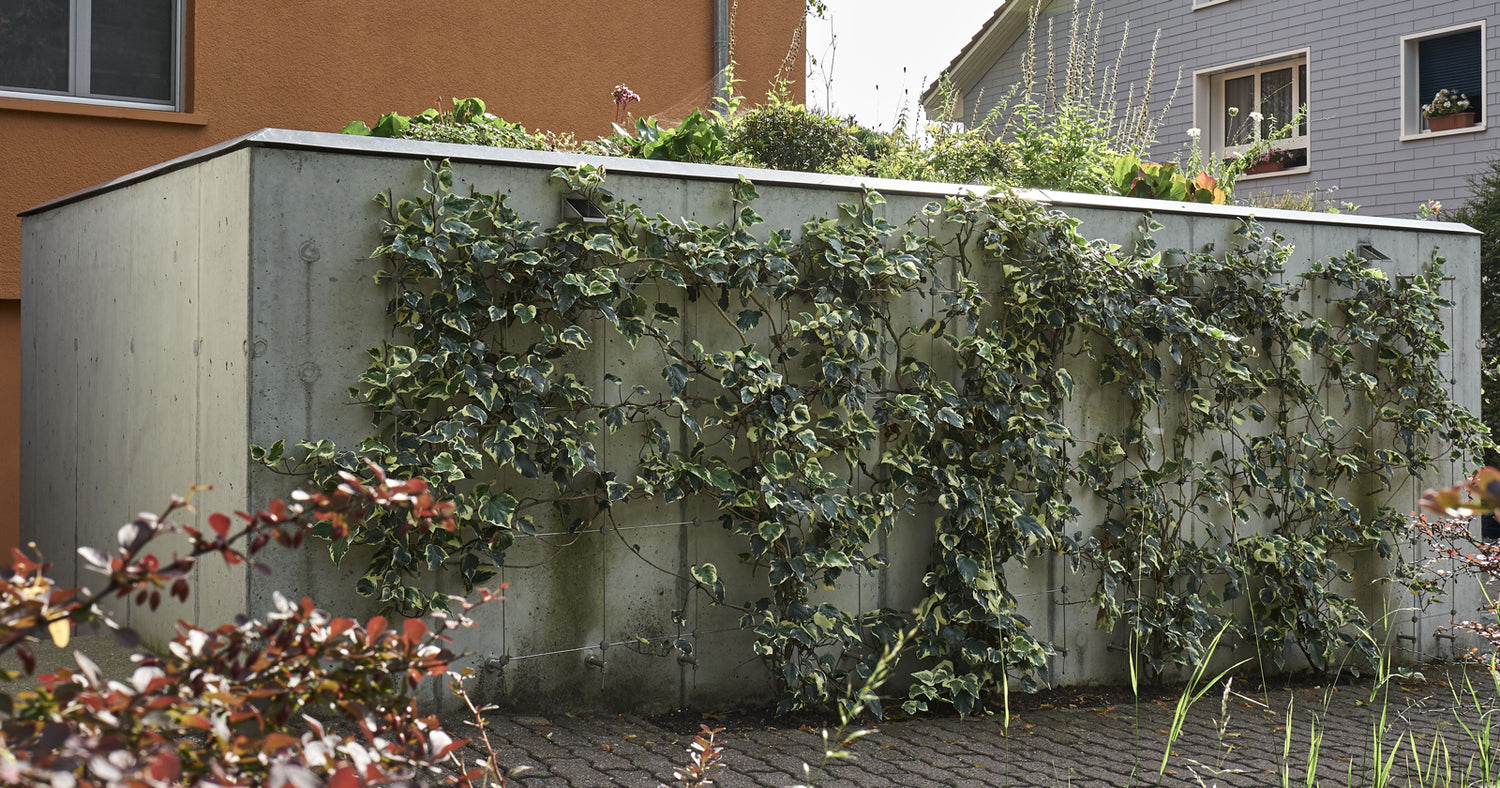 JaKob GreenKits Trellis - The stainless steel plant support for a ...