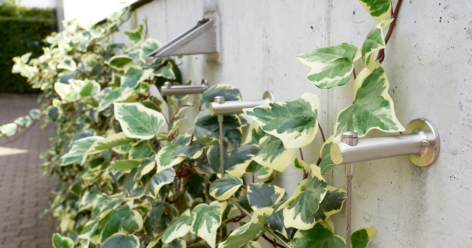 JaKob GreenKits Trellis - The stainless steel plant support for a ...