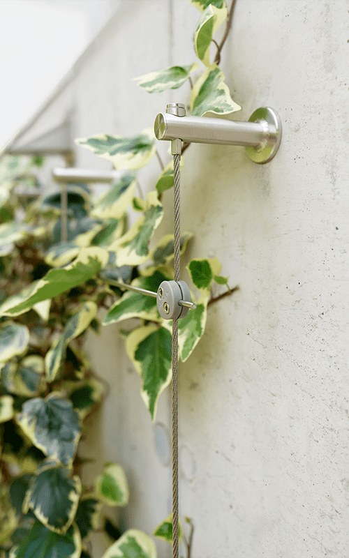 Grand 38-inch Wide, 80-inch High Stainless Steel Trellis - Jakob Green Kits